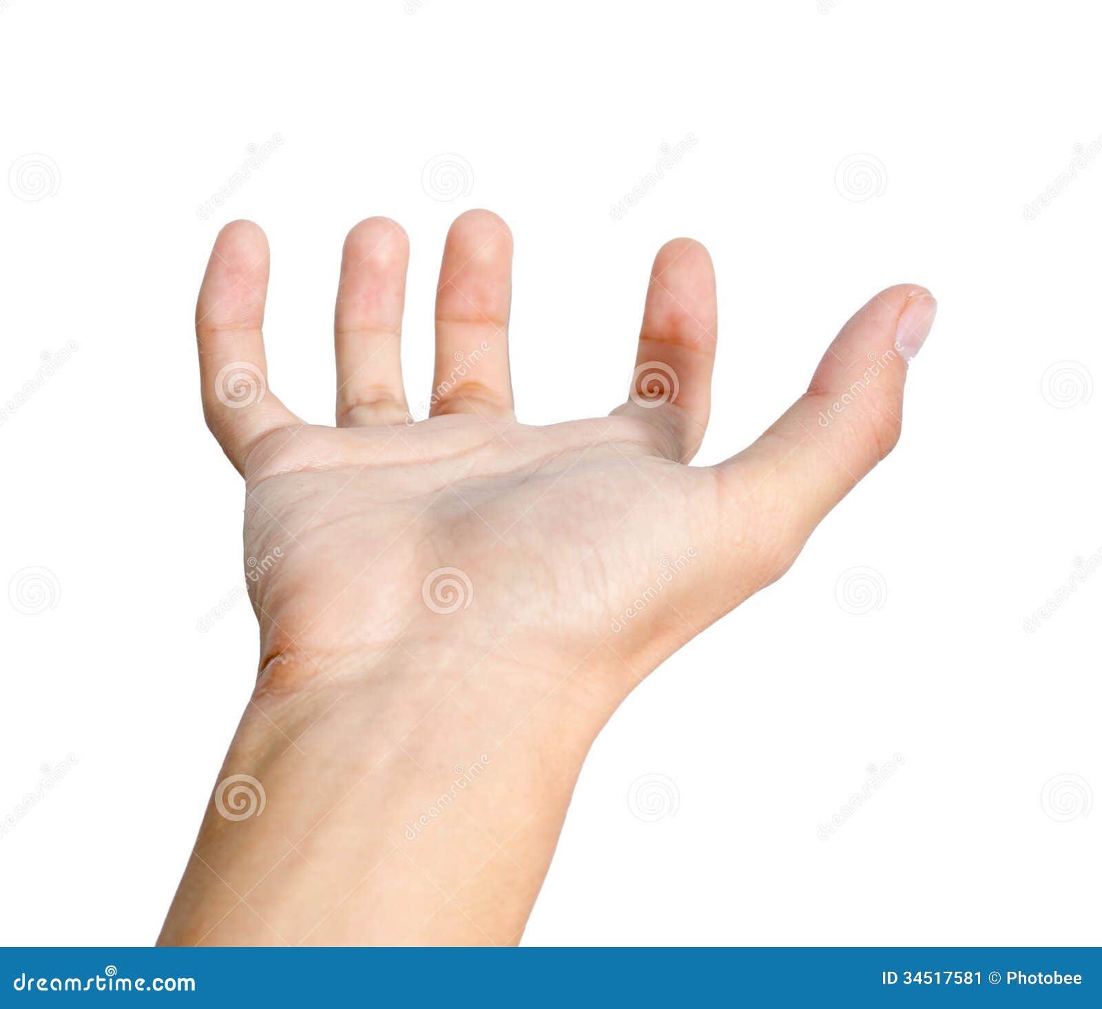 Hand hold stock image. Image of person, body, care, human - 34517581