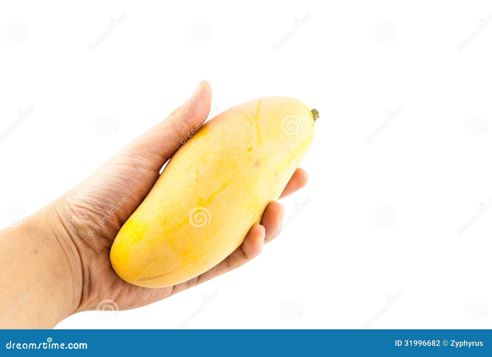 Hand Hold Yellow Sweet Mango Stock Photo - Image of groceries, mango ...