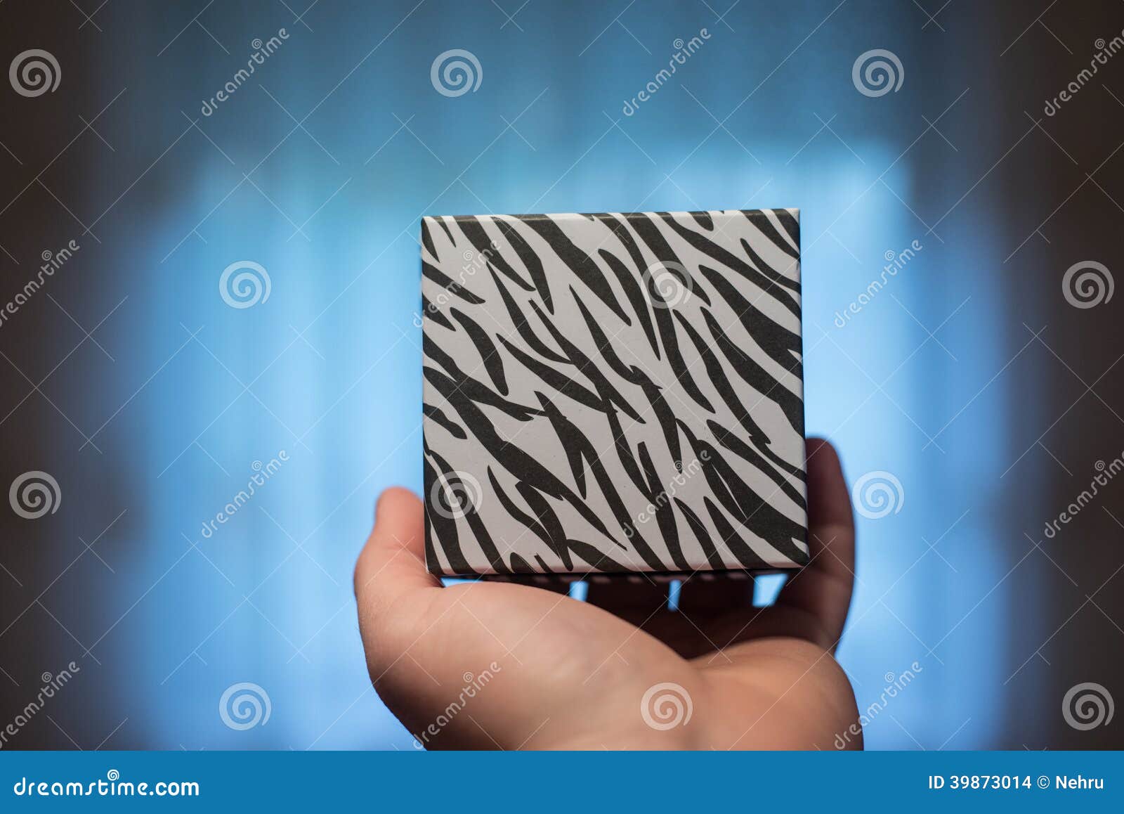 Hand Hold Zebra Patterns Gift Box Stock Photo - Image of single ...