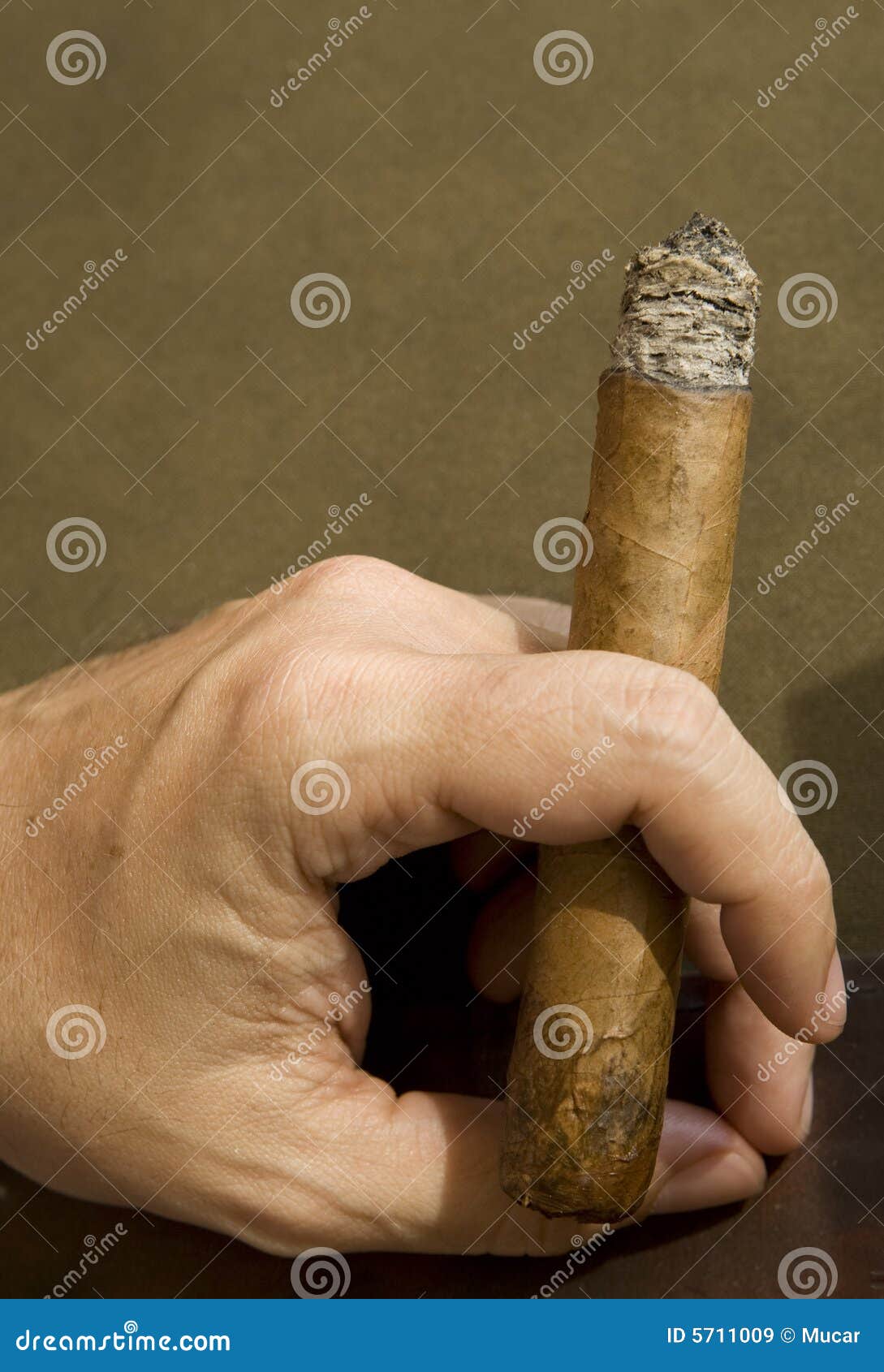 Hand Holdin Cigar Picture. Image: 5711009