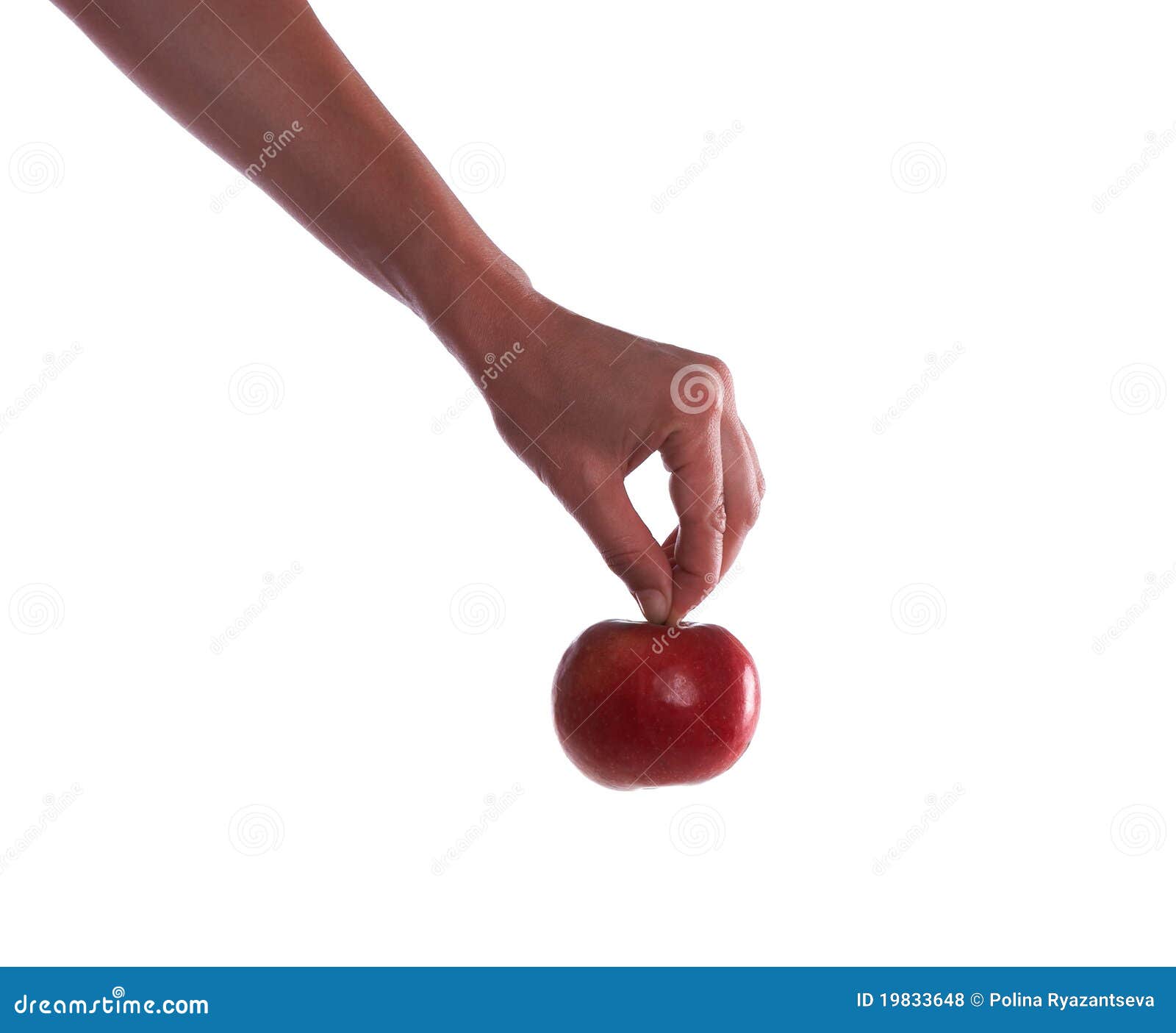 Hand holding an apple stock photo. Image of juicy, apple - 19833648