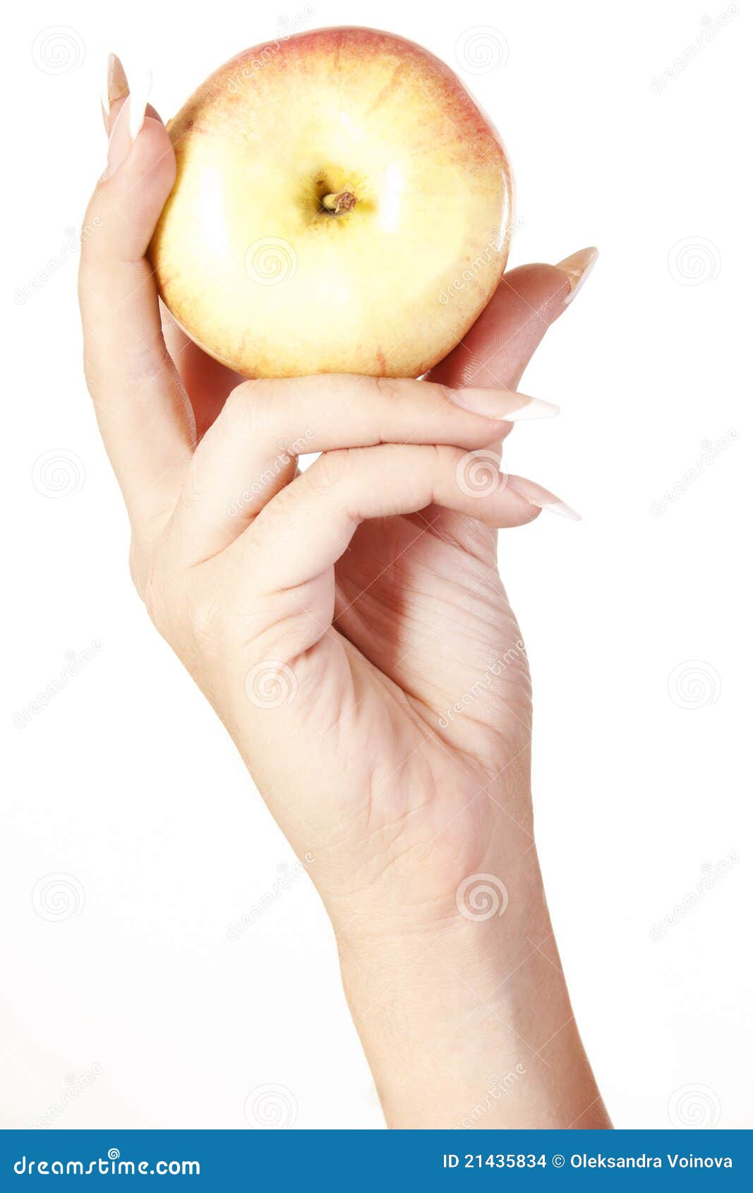 Hand holding apple stock photo. Image of nature, human - 21435834