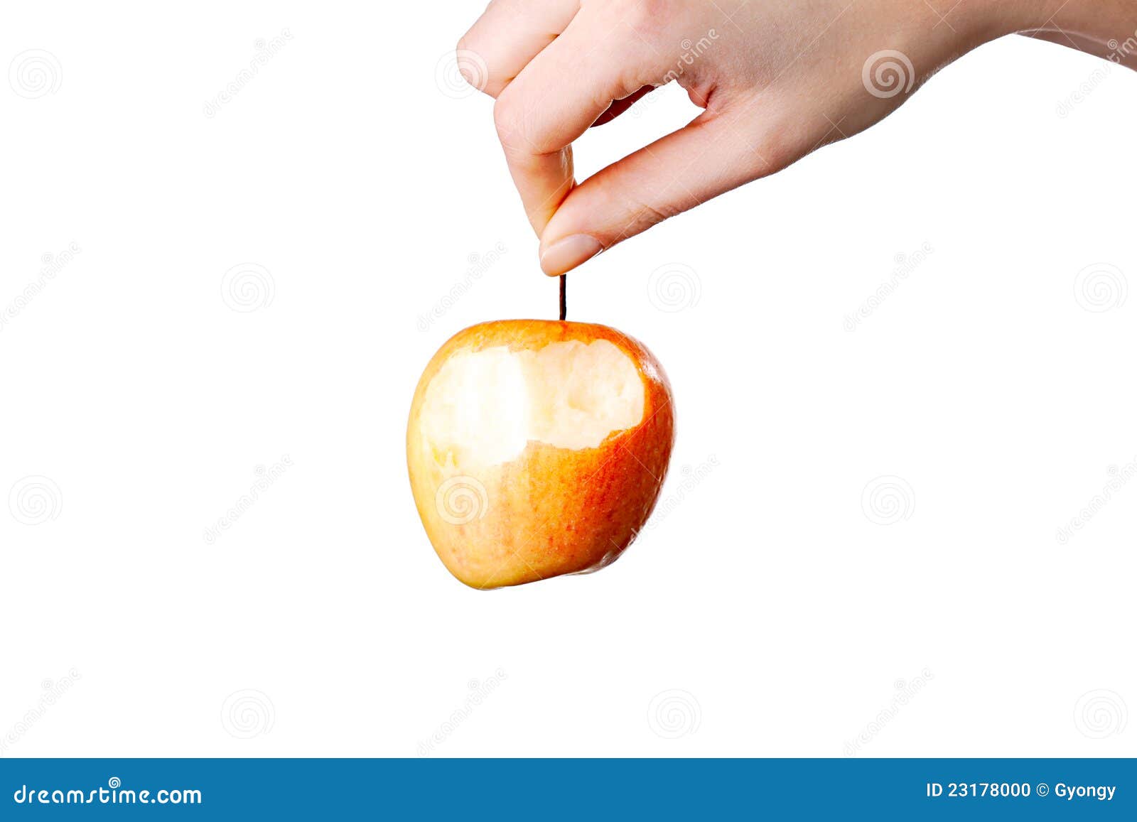 Hand holding an apple stock photo. Image of giving, food - 23178000