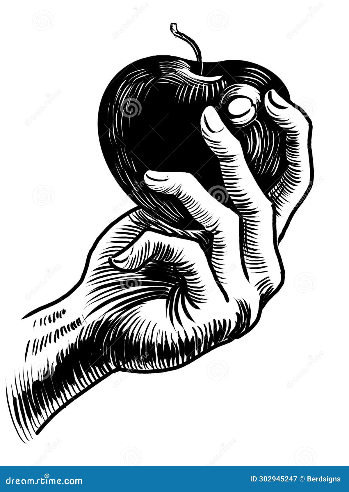 Hand holding apple stock illustration. Illustration of holding - 302945247