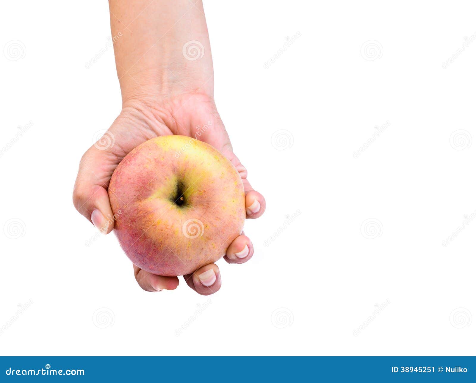Hand Holding Apple Isolated Stock Image - Image of agricultural ...