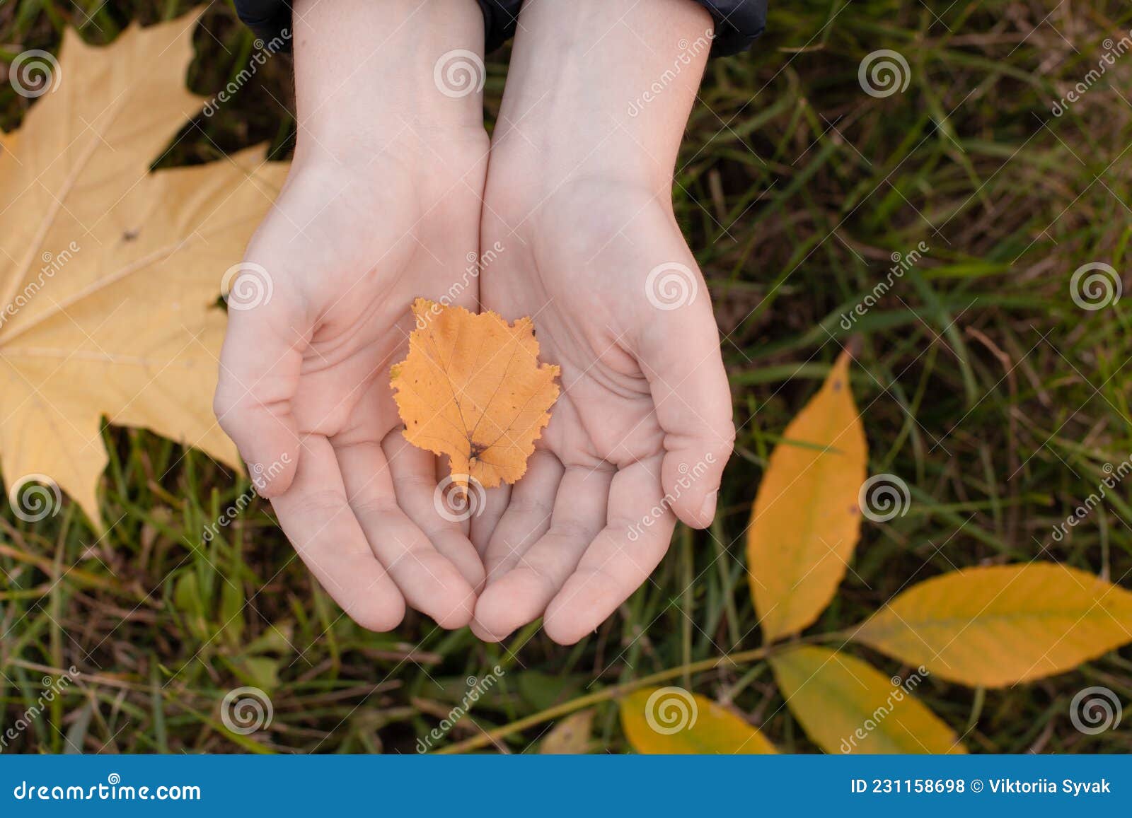 Hand Holding an Autumn Leaf on the Ground Stock Photo - Image of leaf ...