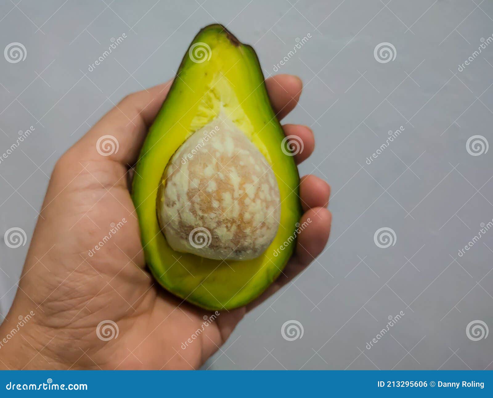 Hand holding an avocado stock photo. Image of fruit - 213295606