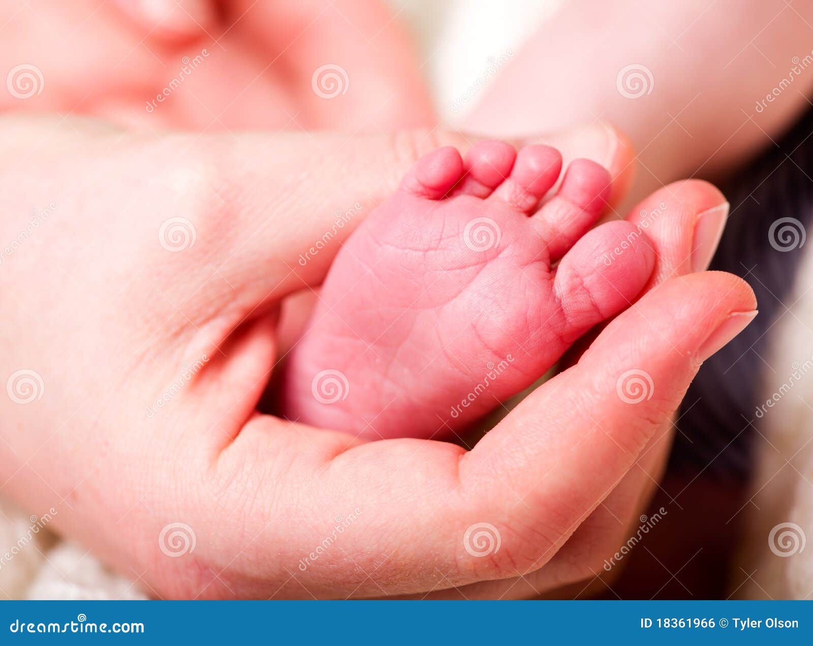 Hand Holding Baby Feet stock photo. Image of small, parenthood - 18361966