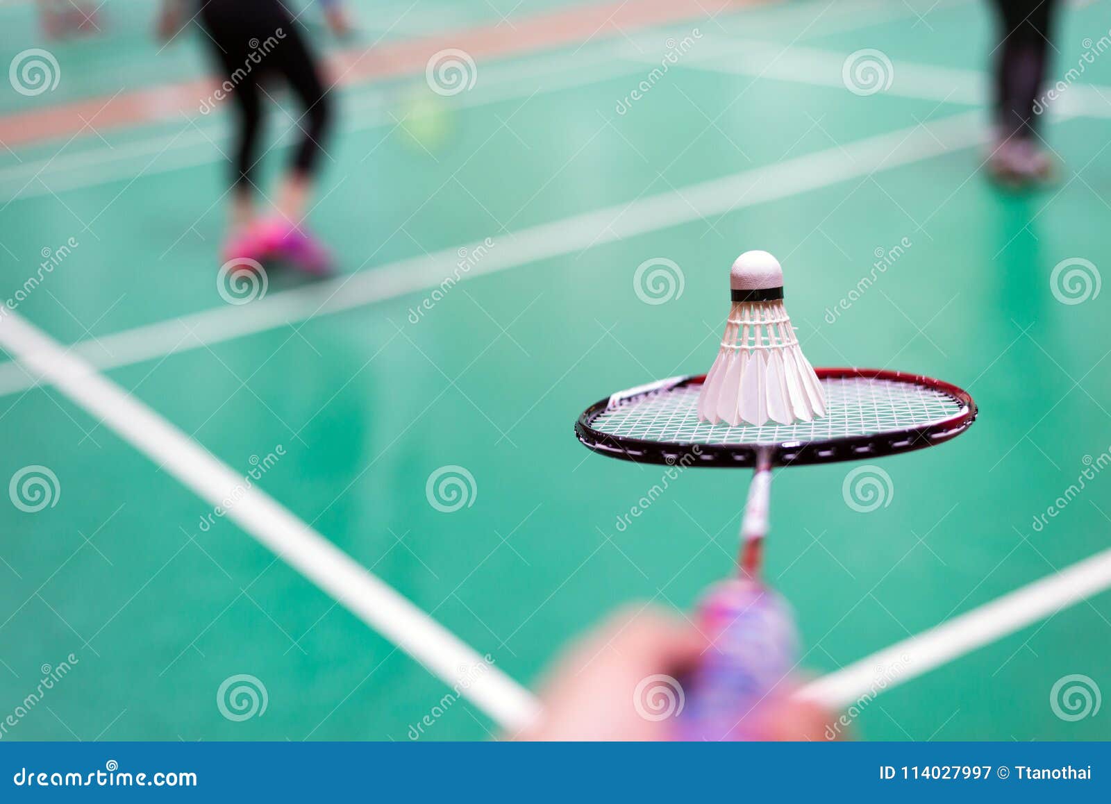 Hand Holding Badminton Racket and Shuttlecock in Badminton Court Stock ...