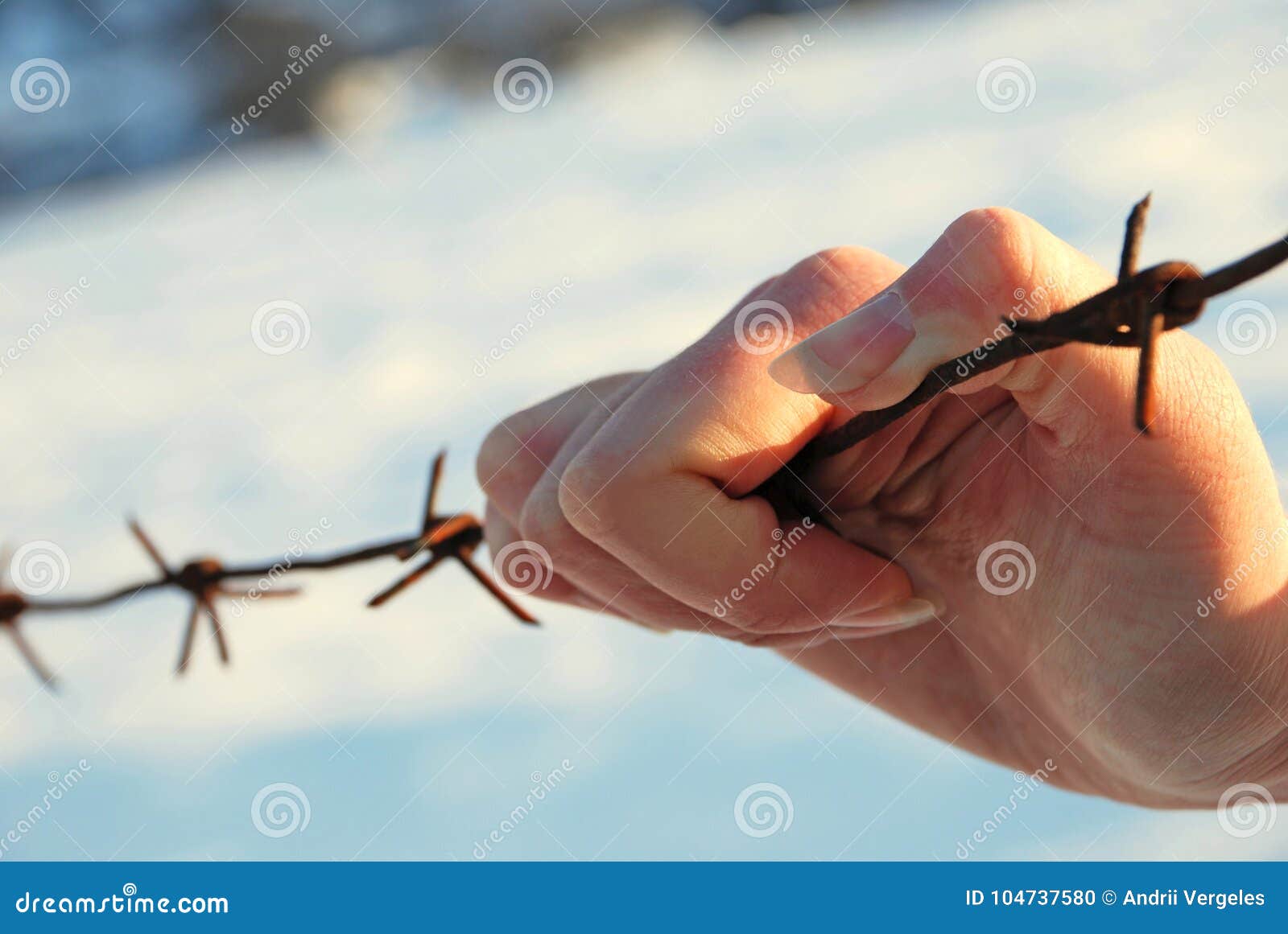 Hand holding a barbed wire stock photo. Image of rusty - 104737580