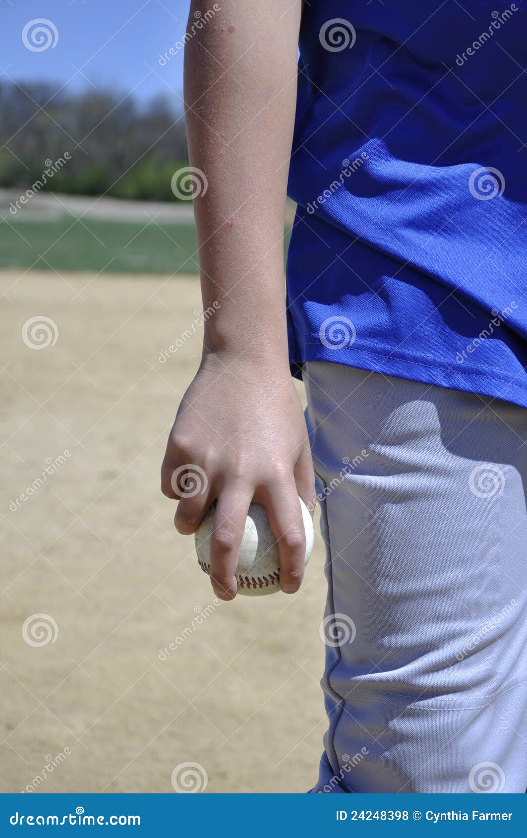 Hand holding a baseball stock photo. Image of athlete - 24248398