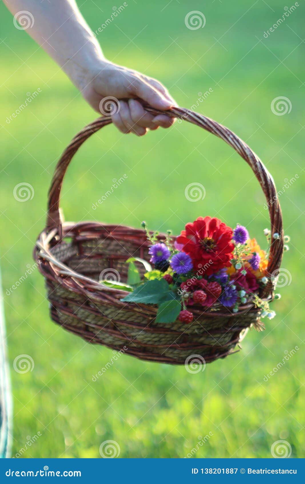 Hand Holding Basket with Flowers at Sunset Stock Image - Image of ...