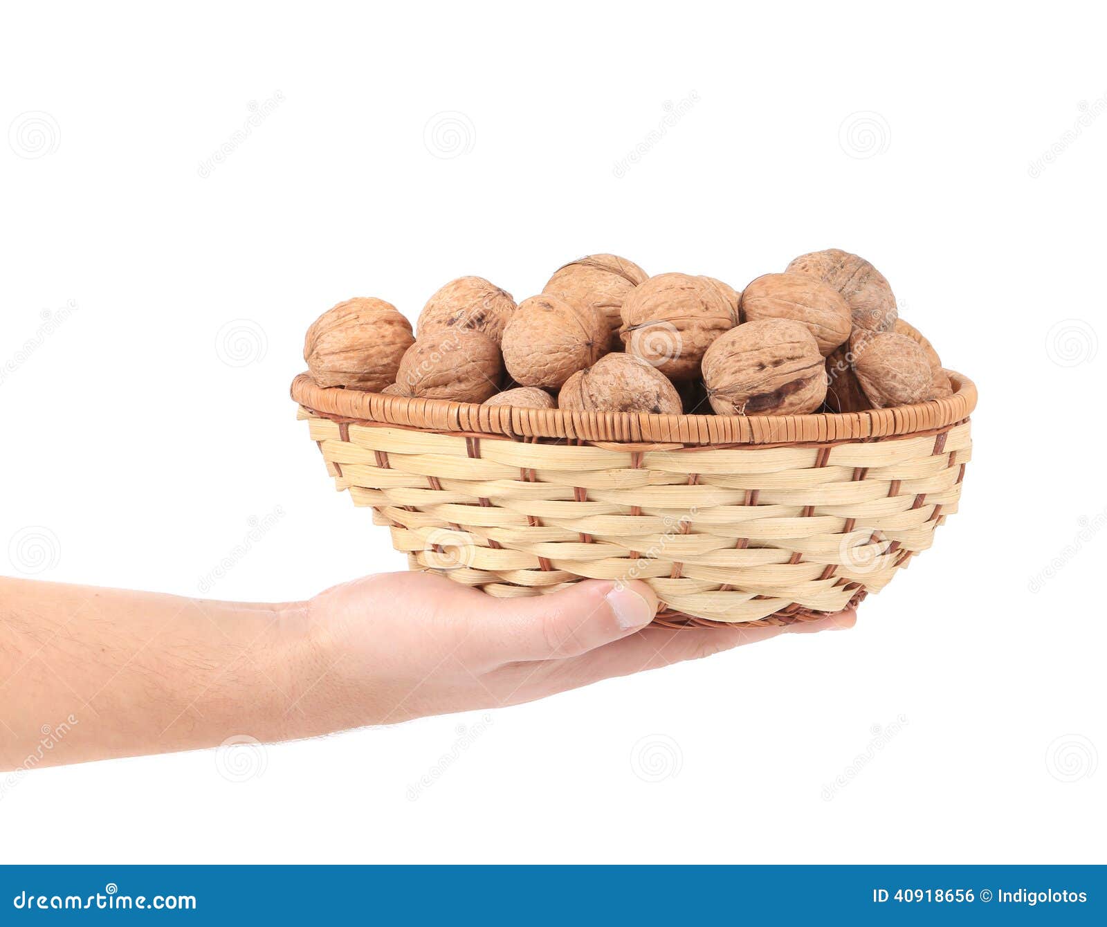 Hand Holding Basket of Walnuts. Stock Photo - Image of nutshell, basket ...