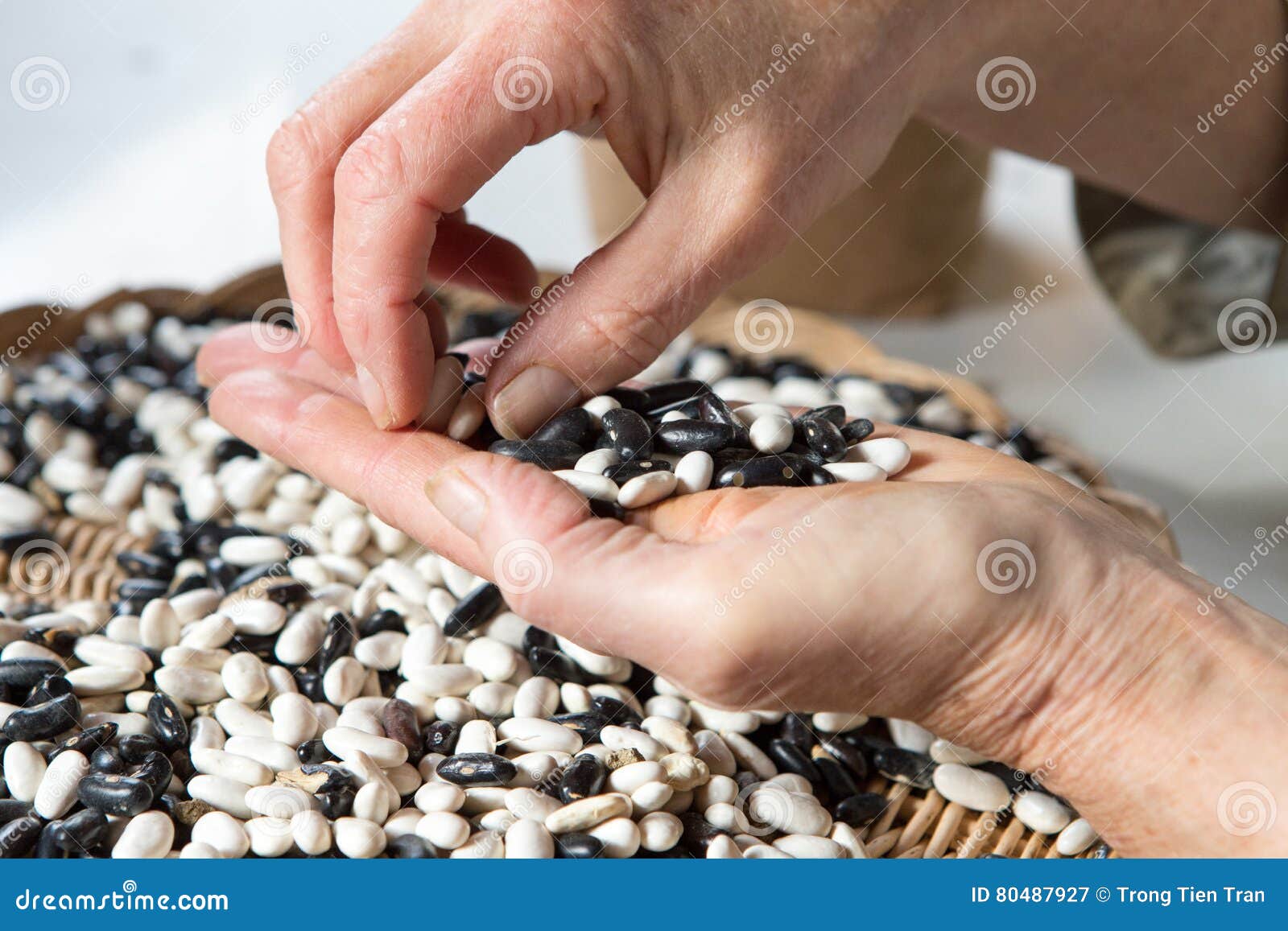 A hand is holding beans stock image. Image of produce - 80487927