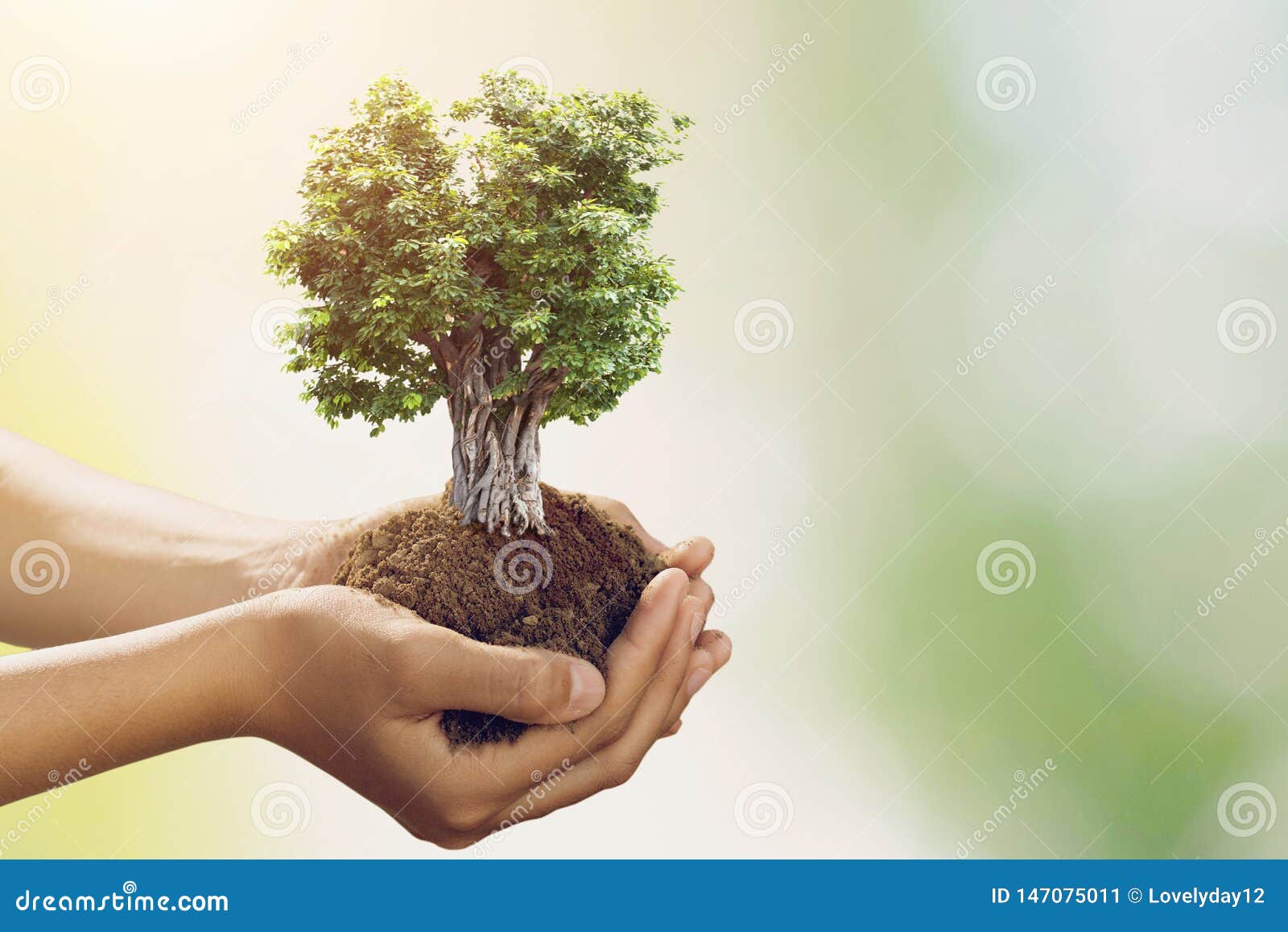 Hand Holding Big Tree Growing on Green Background Stock Image - Image ...
