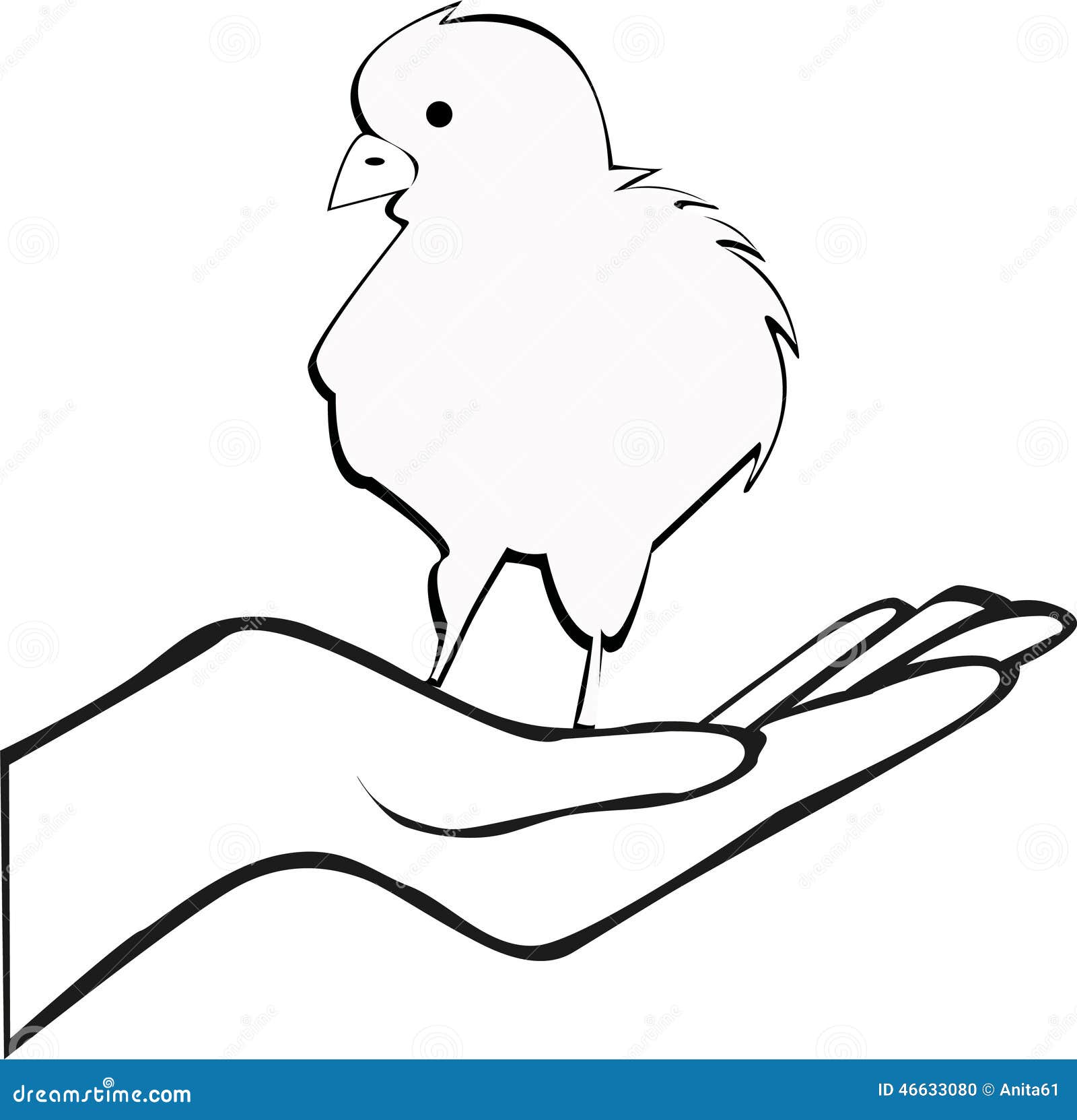 Hand holding bird stock vector. Illustration of nature - 46633080