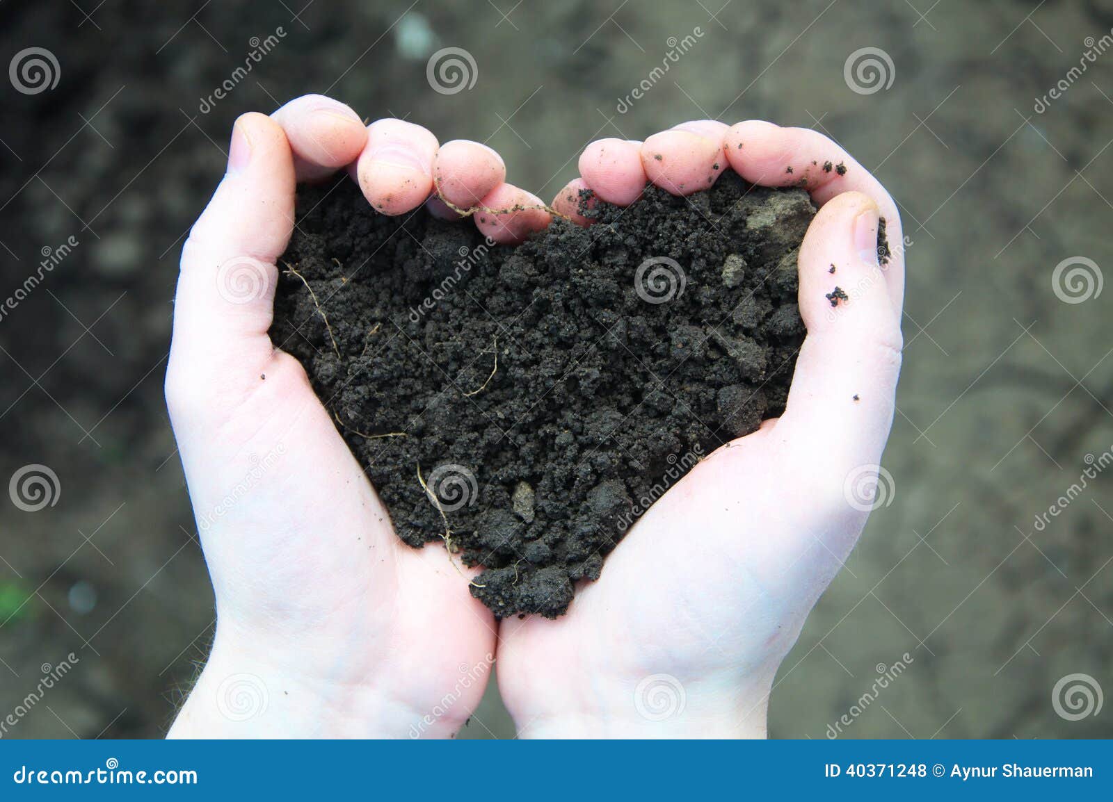 Black Soil Background, Soil Texture Top View Layout, Scattered Loosened ...