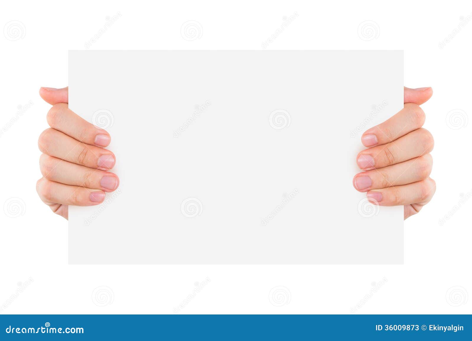 Hand Holding Blank Board stock image. Image of artist - 36009873