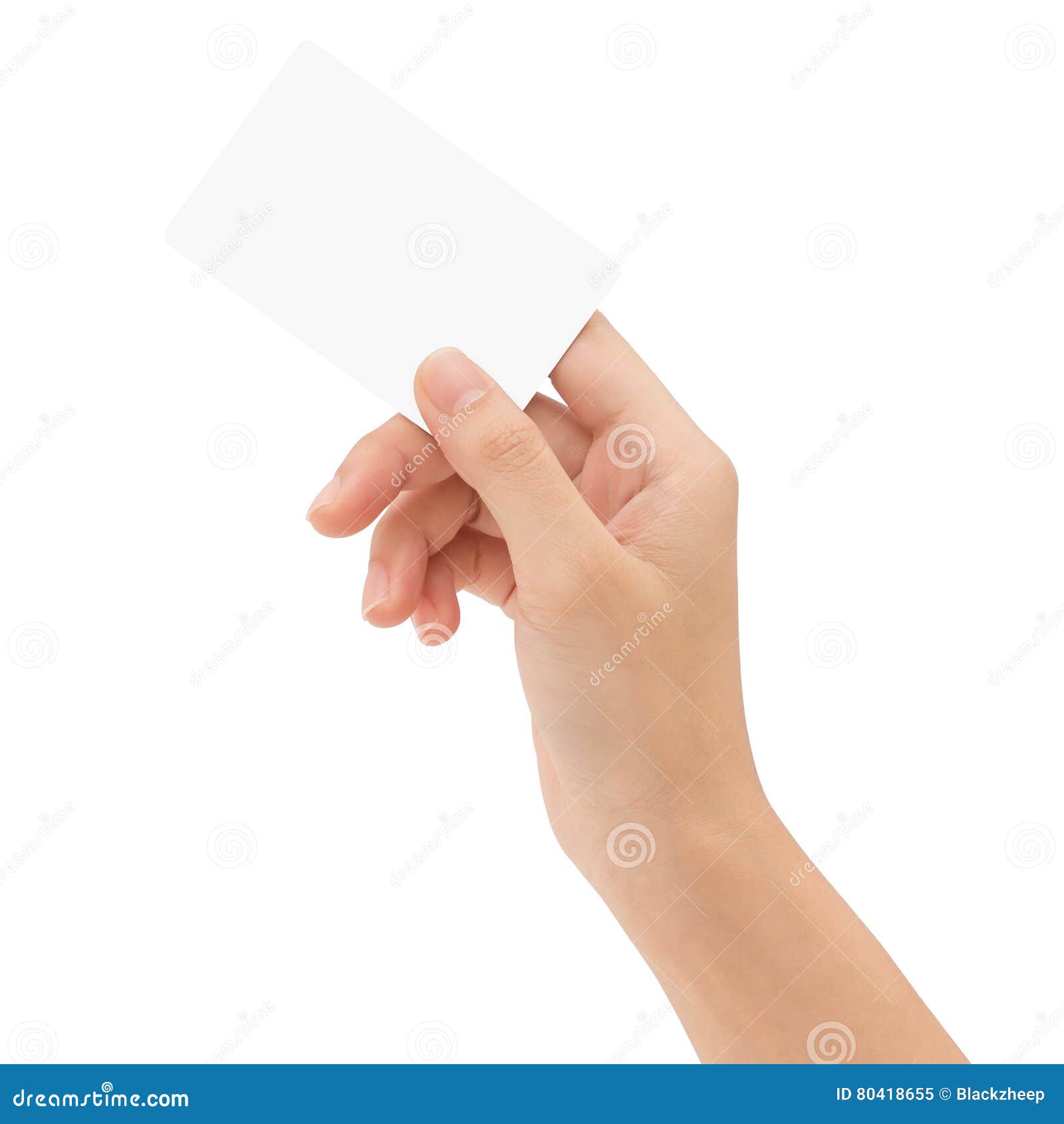 Hand Holding Blank Card Isolated with Clipping Path Stock Image - Image ...