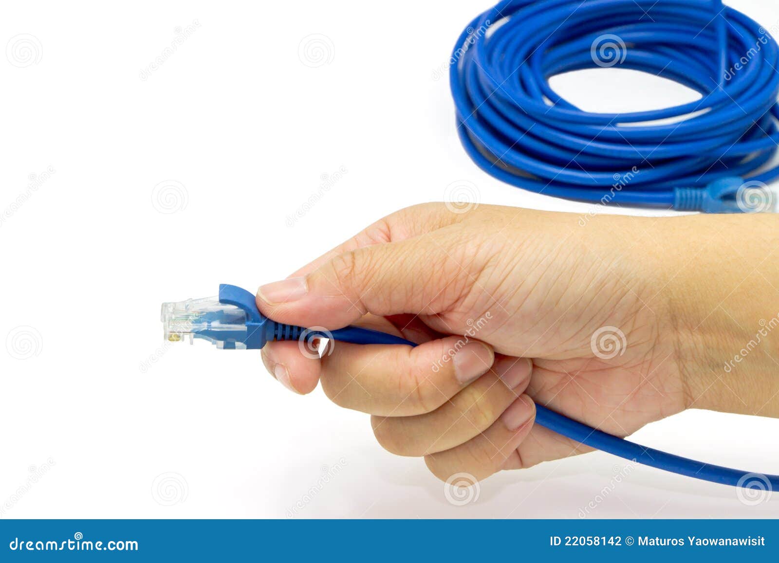 Internet Wire Cat6 Cat5. The Concept Of Connecting To An Internet ...