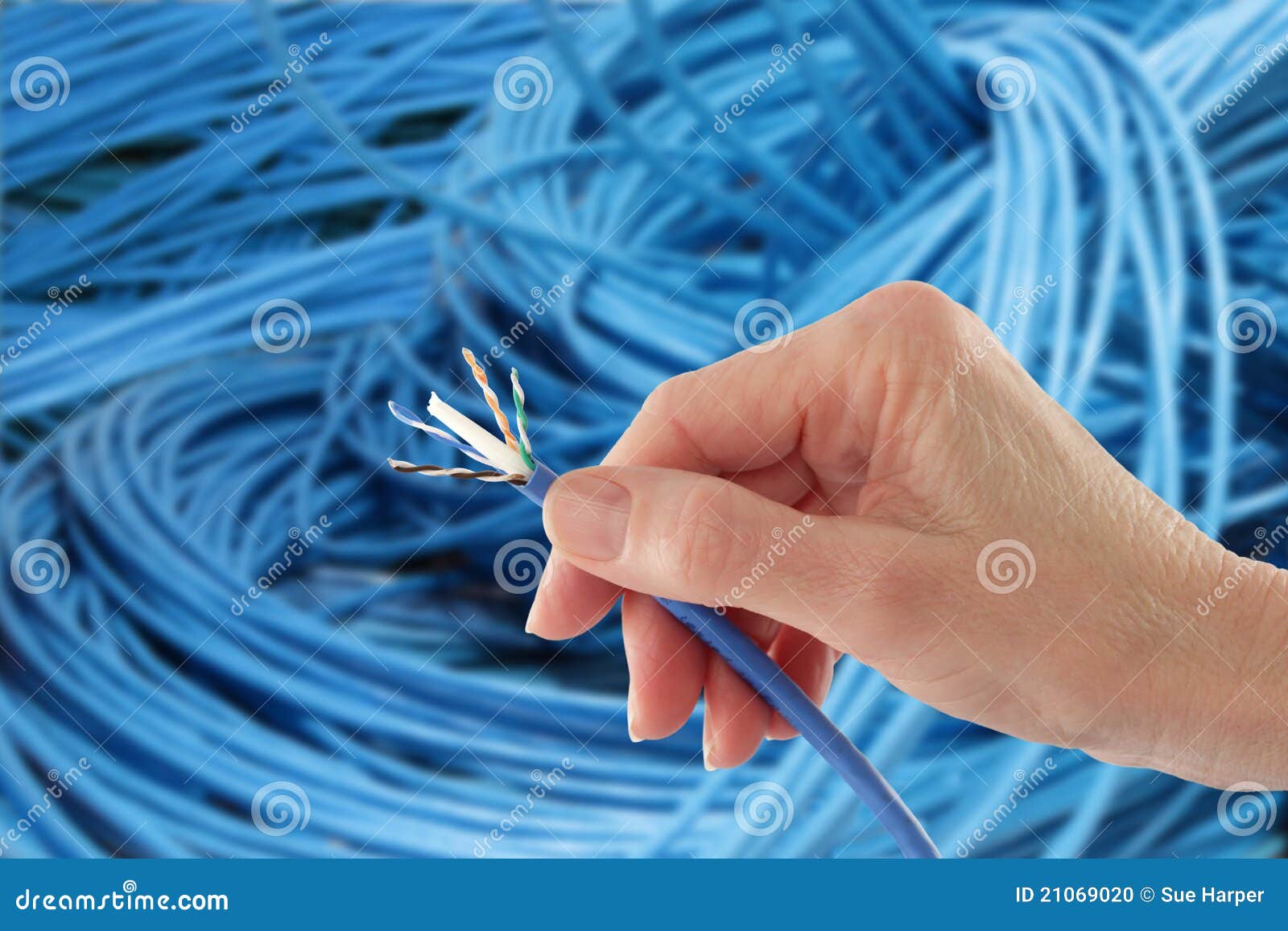 Hand Holding Blue Network Cable Stock Photo - Image of networking ...