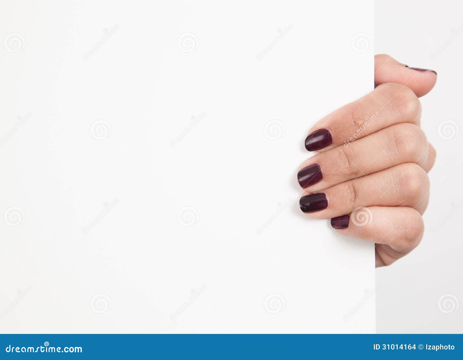 Hand holding a with board stock photo. Image of holding - 31014164