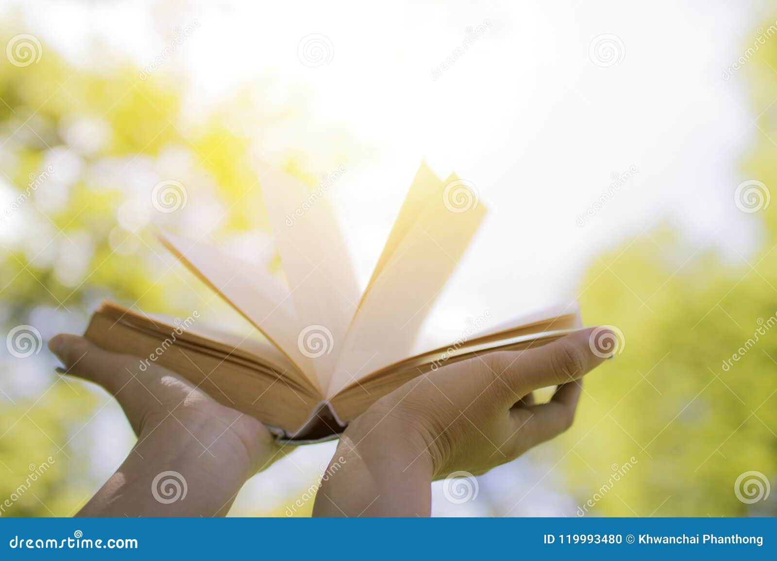 Hand Holding Book on Sky, Knowledge and Wisdom Concept Stock Photo ...