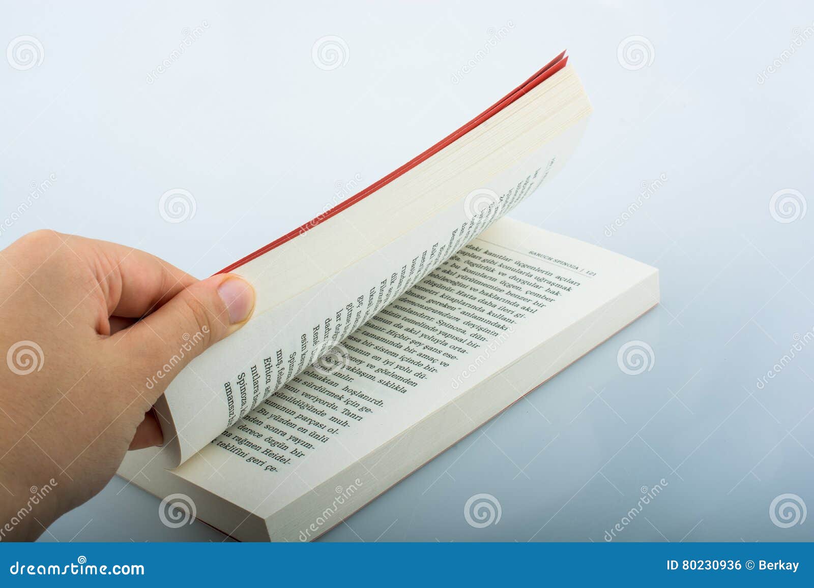 Hand holding a book stock photo. Image of hand, education - 80230936