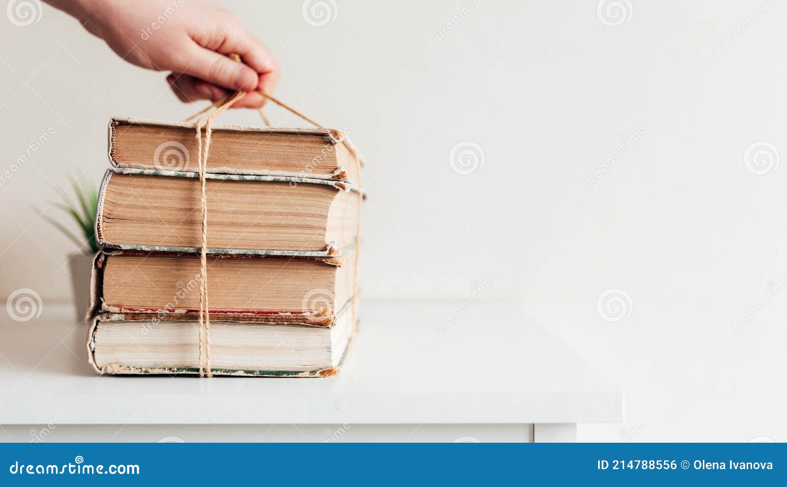 Hand Holding Books, Concept of Learning, Education, Science, Wisdom ...