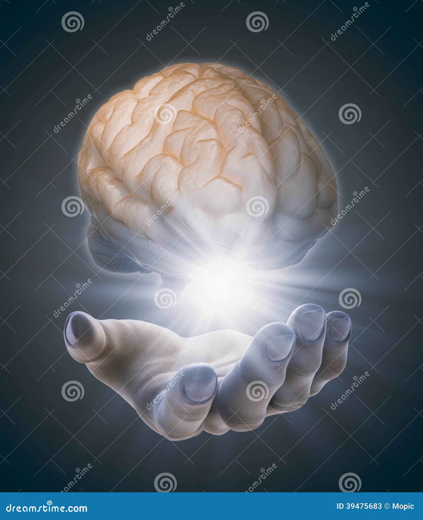 Hand holding a brain stock illustration. Illustration of human - 39475683