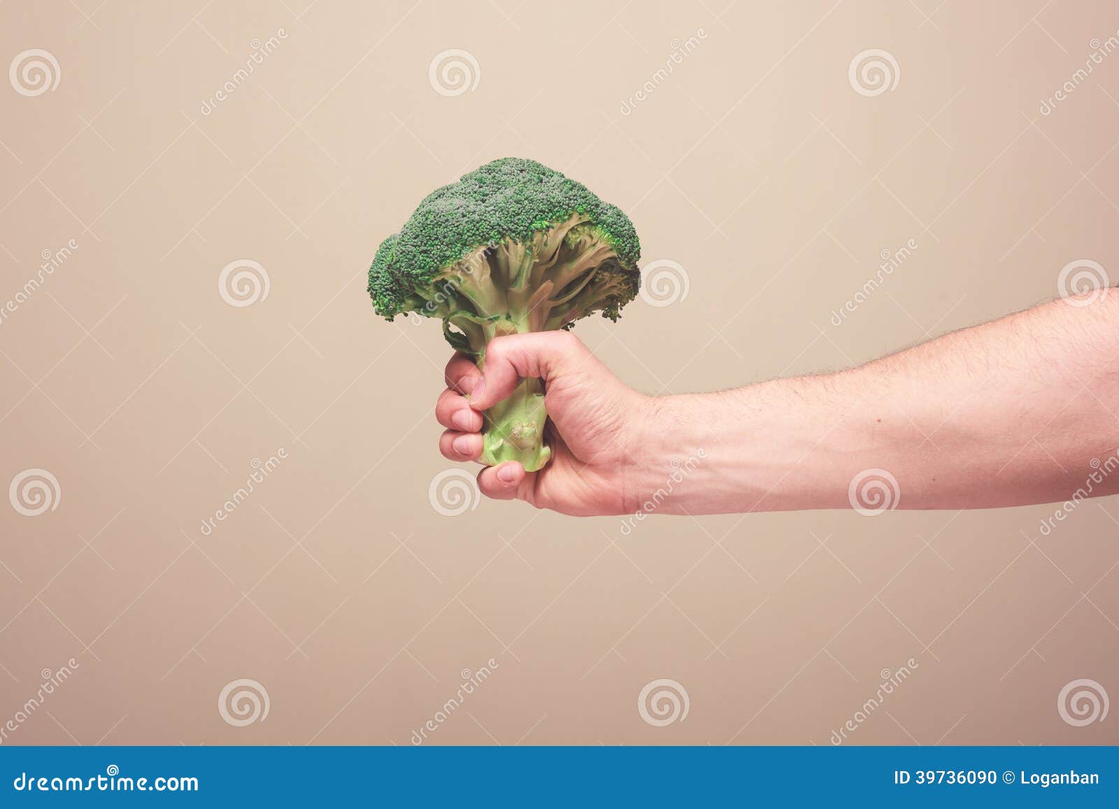Hand holding broccoli stock photo. Image of showing, giving - 39736090