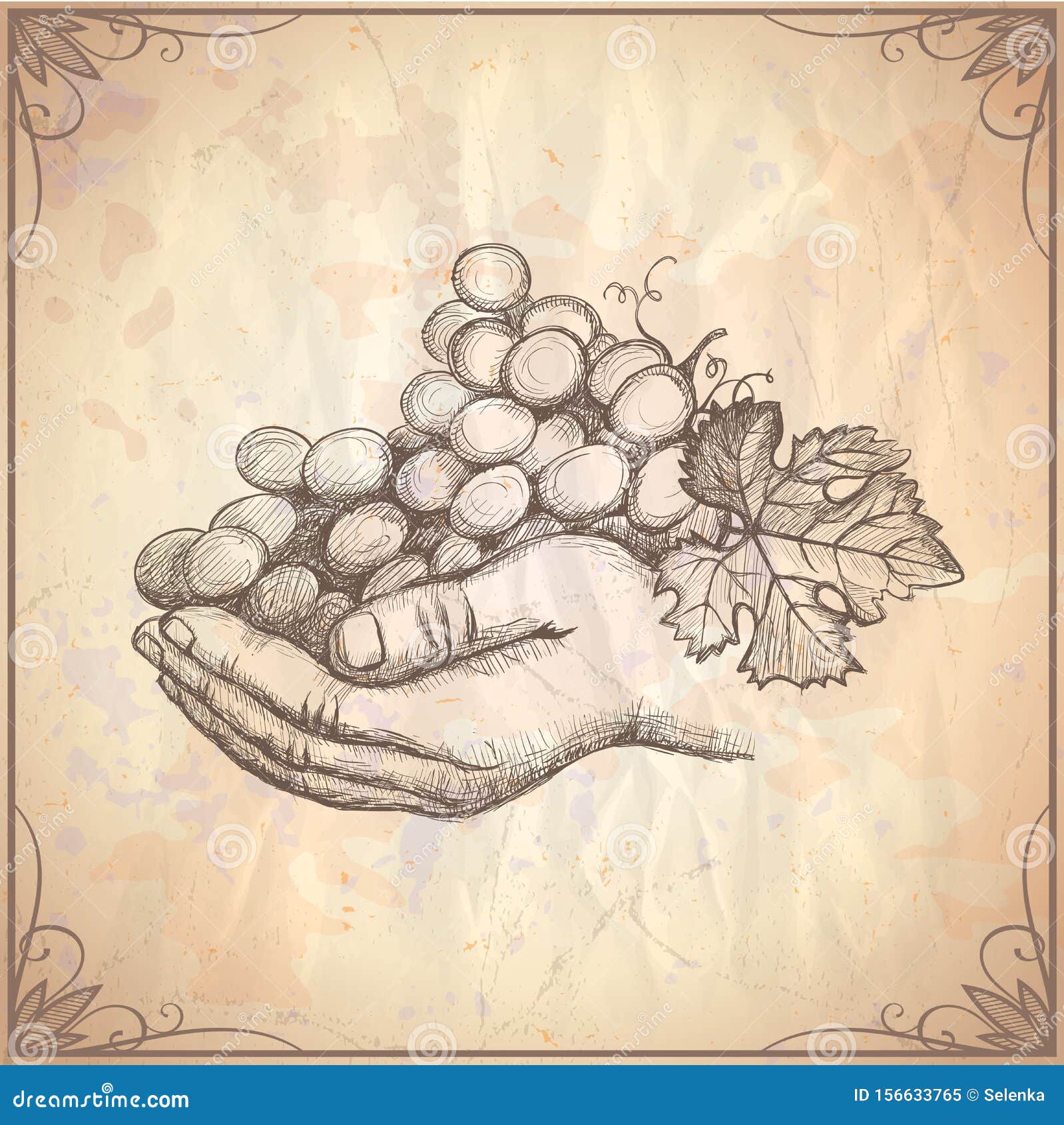 Hand Holding Bunch of Grapes, Hand Drawn Graphic Illustration Stock ...