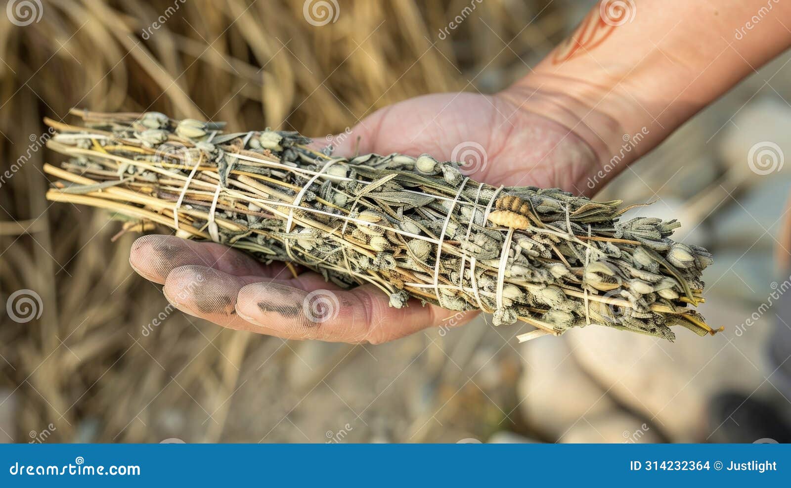 A Hand Holding a Bundle of Dried Herbs with Intricately Woven Patterns ...