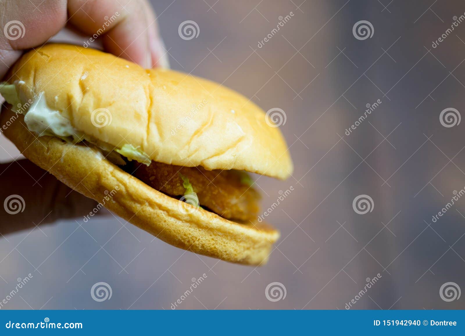 Hand holding a burger stock photo. Image of meal, food - 151942940