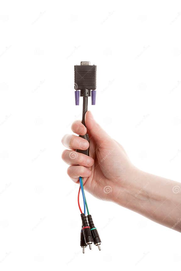 Hand holding cable stock photo. Image of internet, finger - 23540846