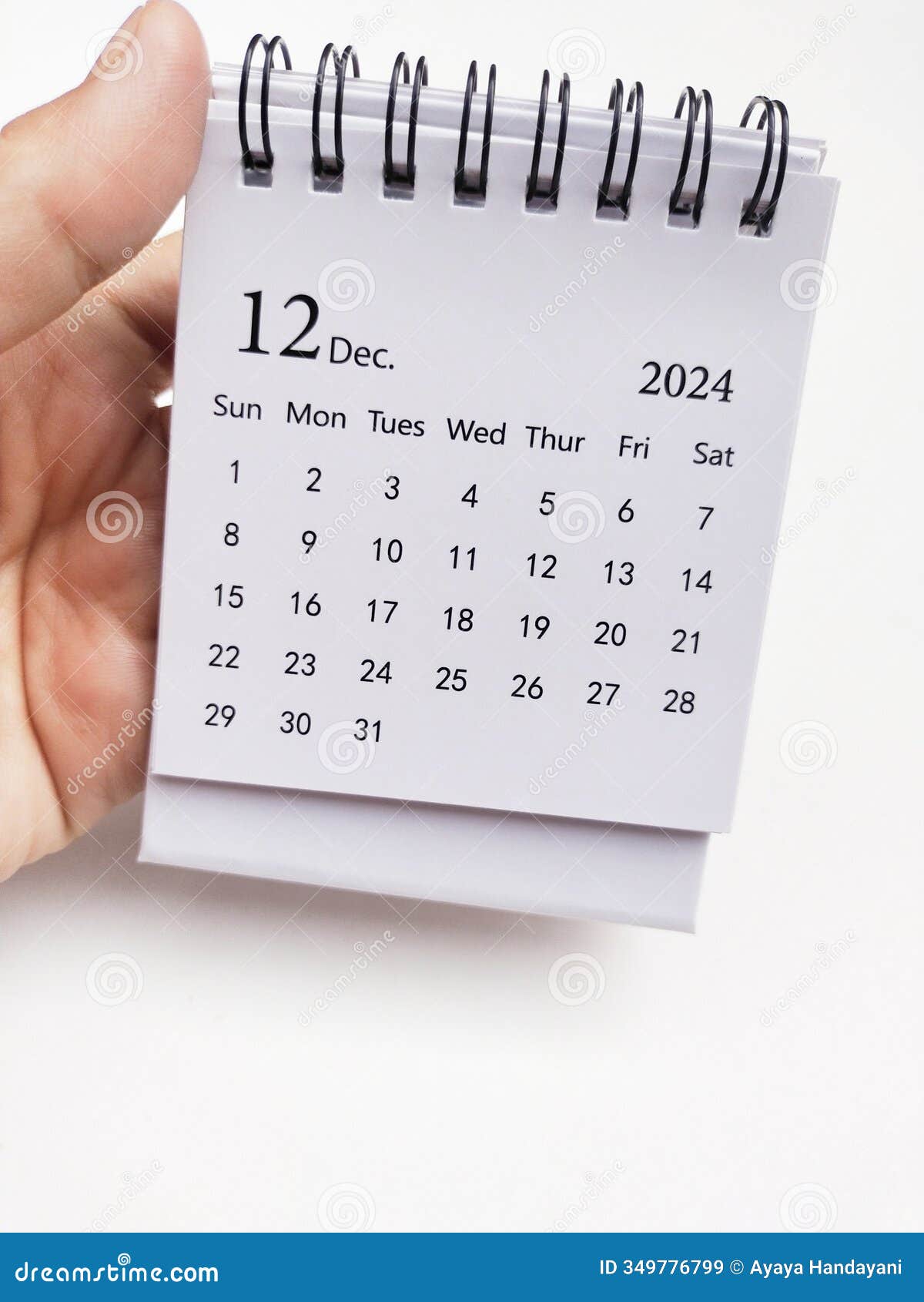 Hand Holding Calendar for December 2024. Mini Calander. Stock Image ...