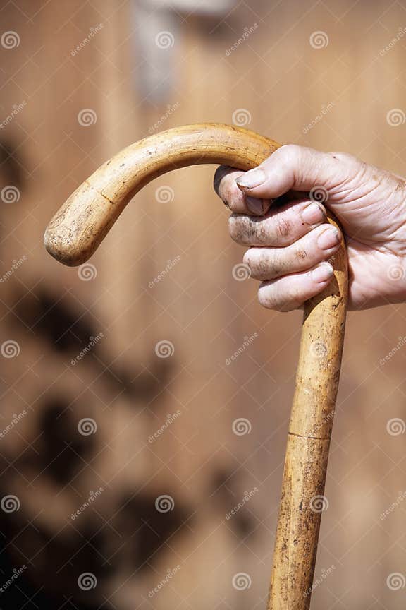 Hand holding a cane stock image. Image of hand, person - 9649843