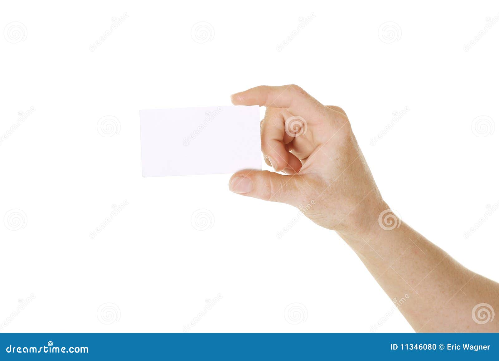 Hand holding card stock photo. Image of girl, copy, female - 11346080
