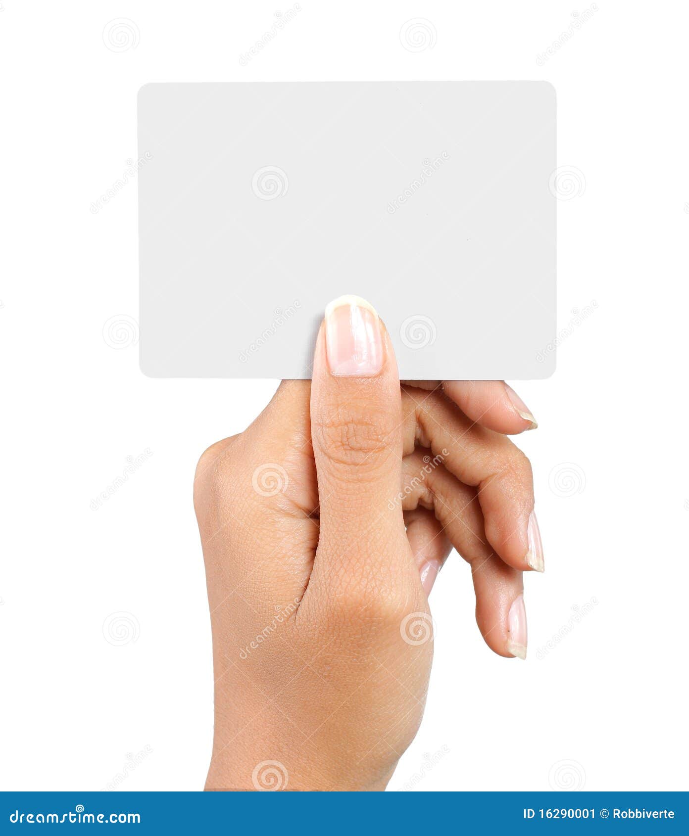 Hand holding a card stock image. Image of isolated, blank - 16290001