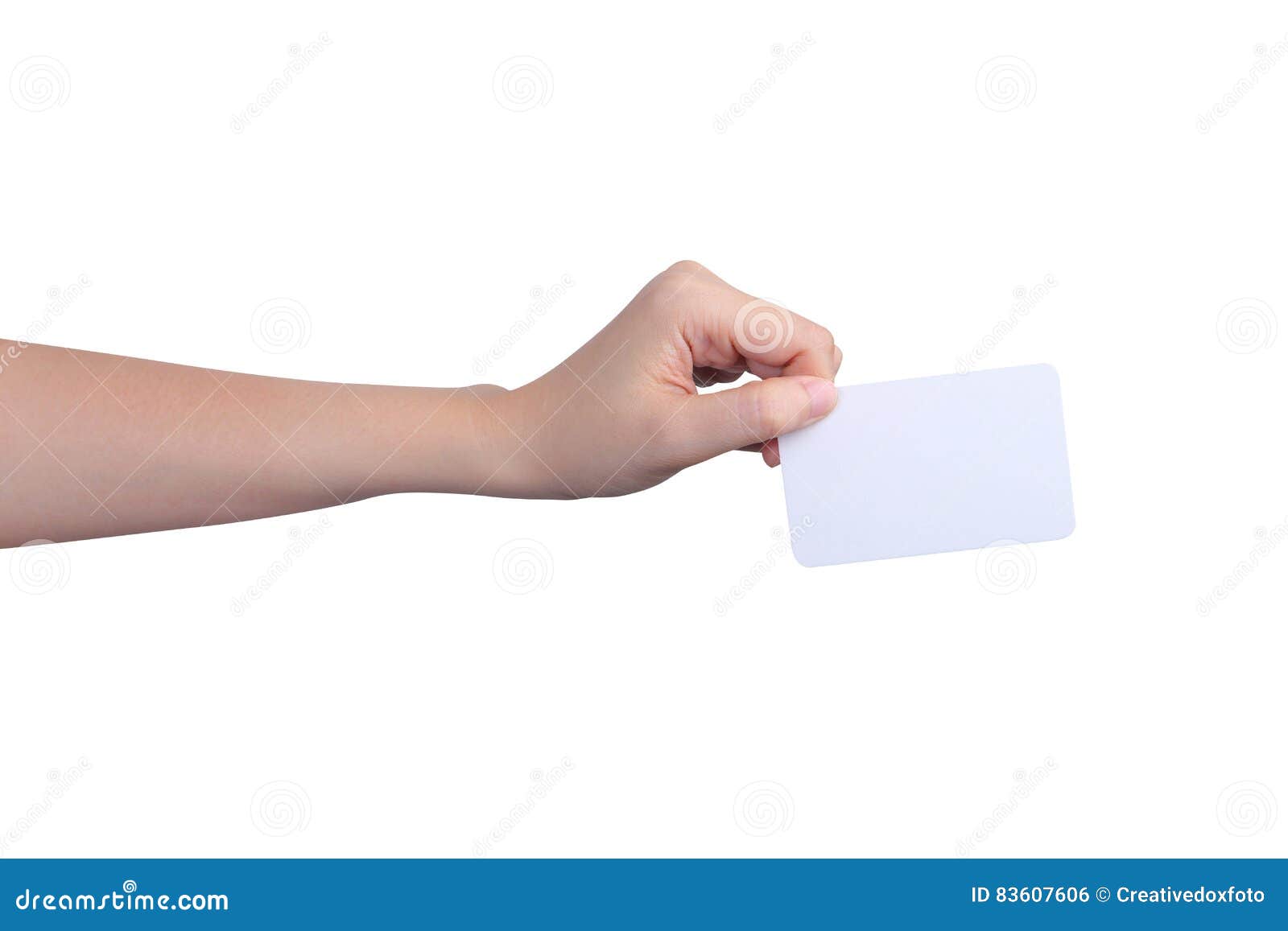 Hand holding card stock photo. Image of isolated, female - 83607606