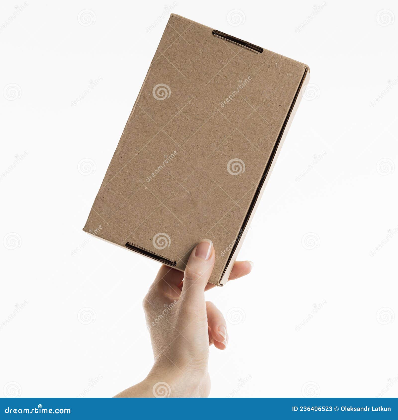 Hand Holding Cardboard Box. High Quality Photo Stock Image - Image of ...