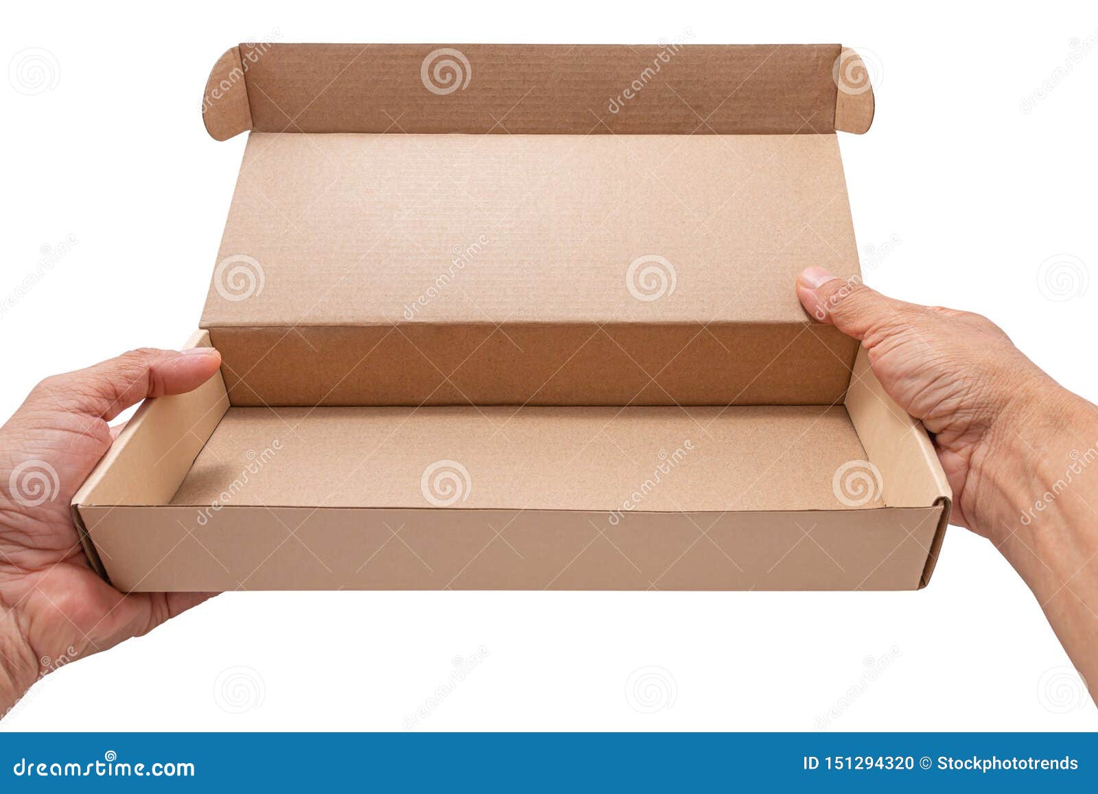 Hand Holding Cardboard Box Opened Empty Isolated on White Background ...
