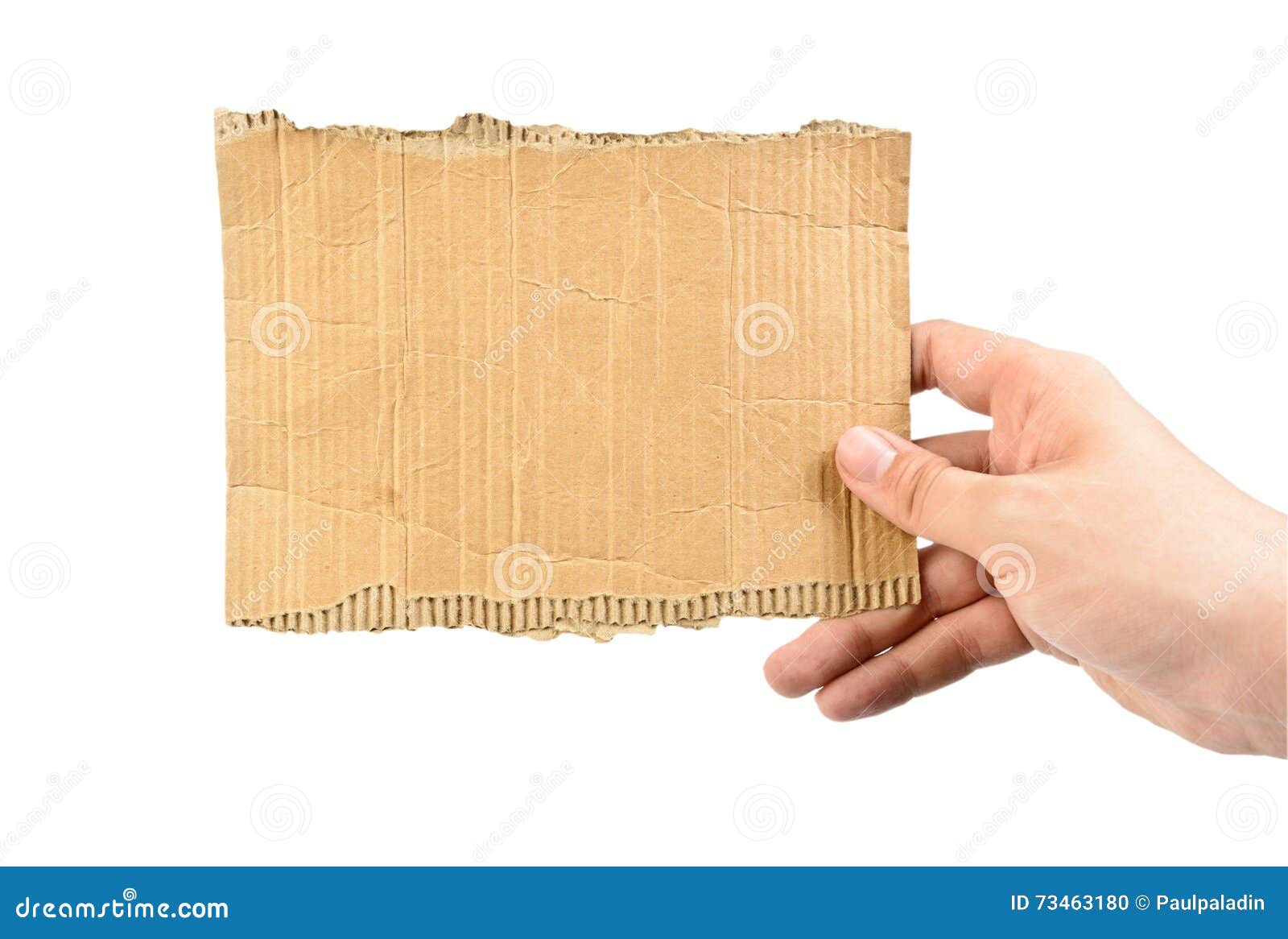 Hand Holding Cardboard Piece Stock Photo - Image of message, human ...