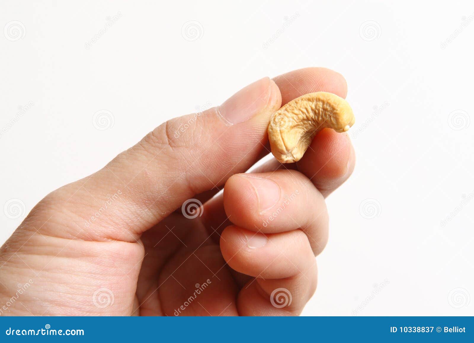 Hand holding cashew nut stock image. Image of hand, fingers - 10338837