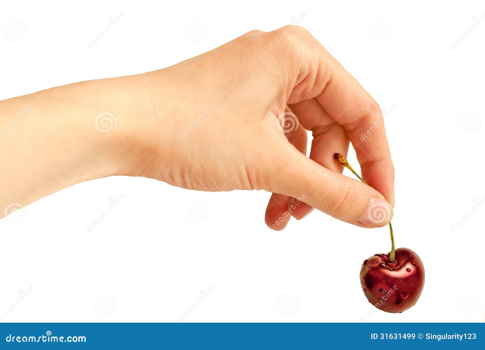 Hand holding cherry stock image. Image of freshness, food - 31631499