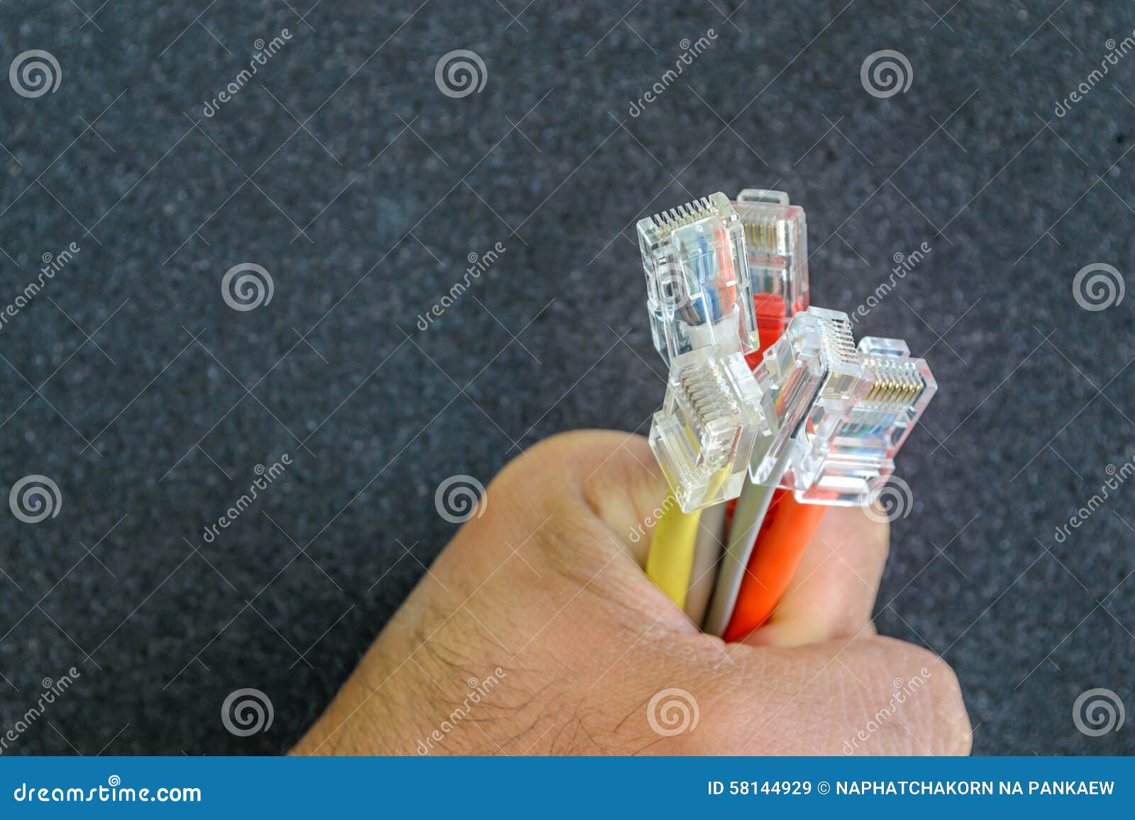 Hand Holding Colorful Internet Cables Stock Image - Image of equipment ...