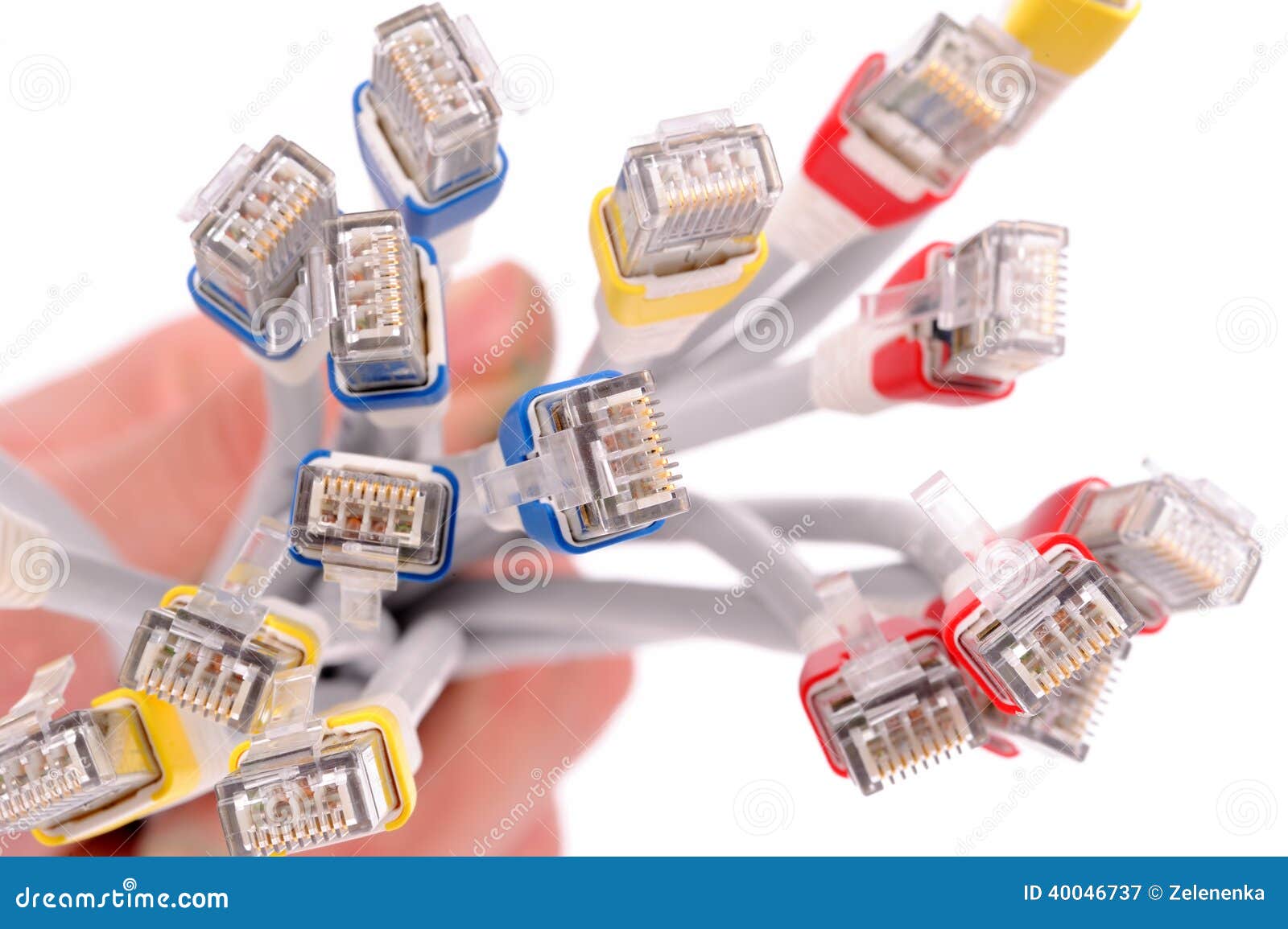 Hand Holding Colorful Internet Cables on White Isolated Background ...
