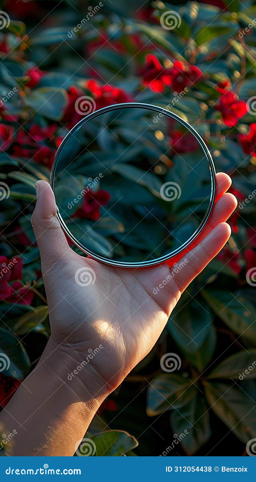 Hand Holding a Compact Mirror Stock Photo - Image of altruism, personal ...