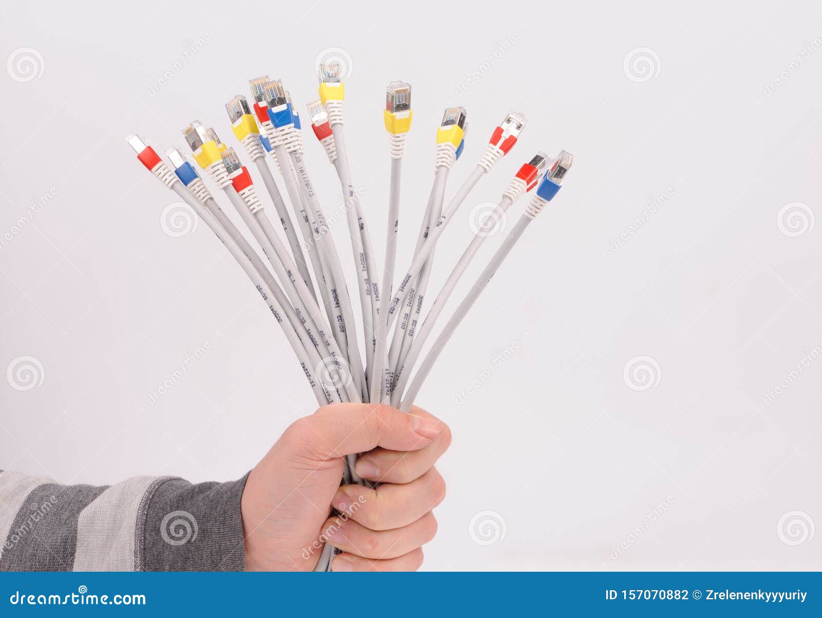 Hand Holding Computer Network Cables Stock Photo - Image of ...