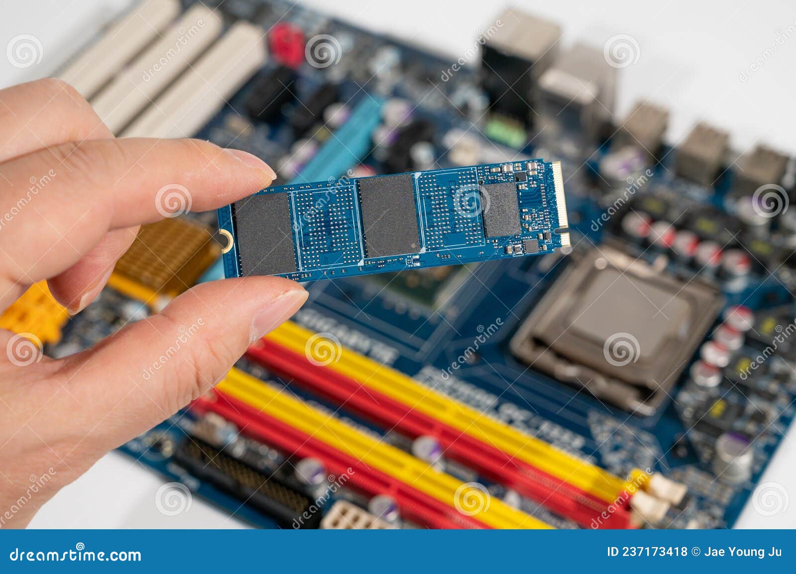 The Hand Holding the Computer`s Mainboard and M.2 Solid State Drive ...